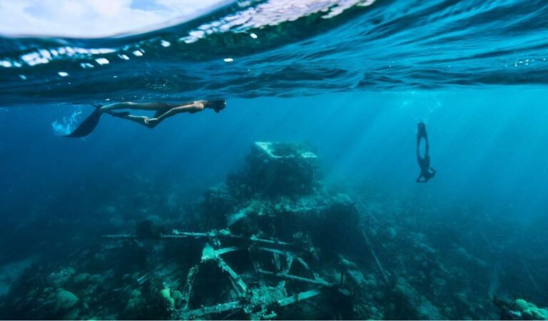 A guide to diving in Bermuda | Sports Tourism News