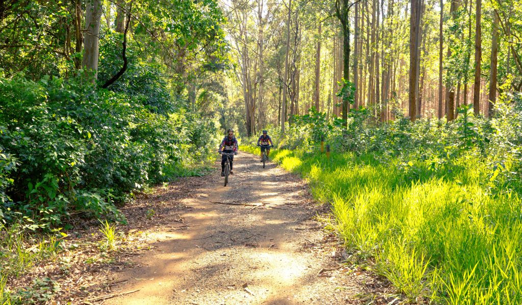 Adventure travel trends 2025: fuelling a new wave of sports tourism ...